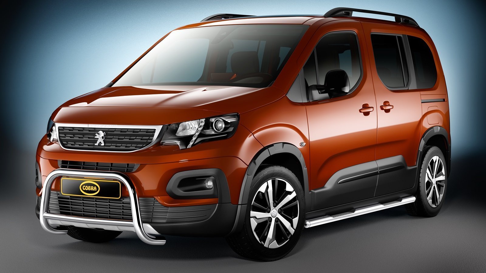 Citroen Berlingo Side bars - Citroen Berlingo Side pipes-